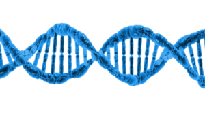 An Avalanche of Advances in Human Genetics - DNA Science